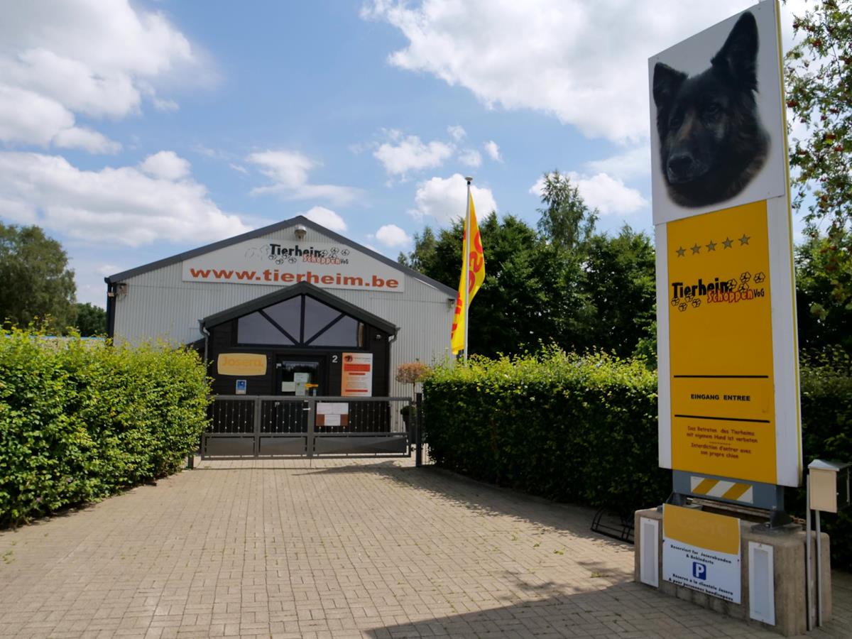 Das Team - Tierheim Schoppen VOG - Tierwohl in Ostbelgien